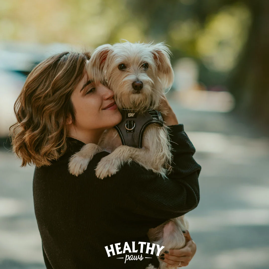 Healthy Paws koeratoidud